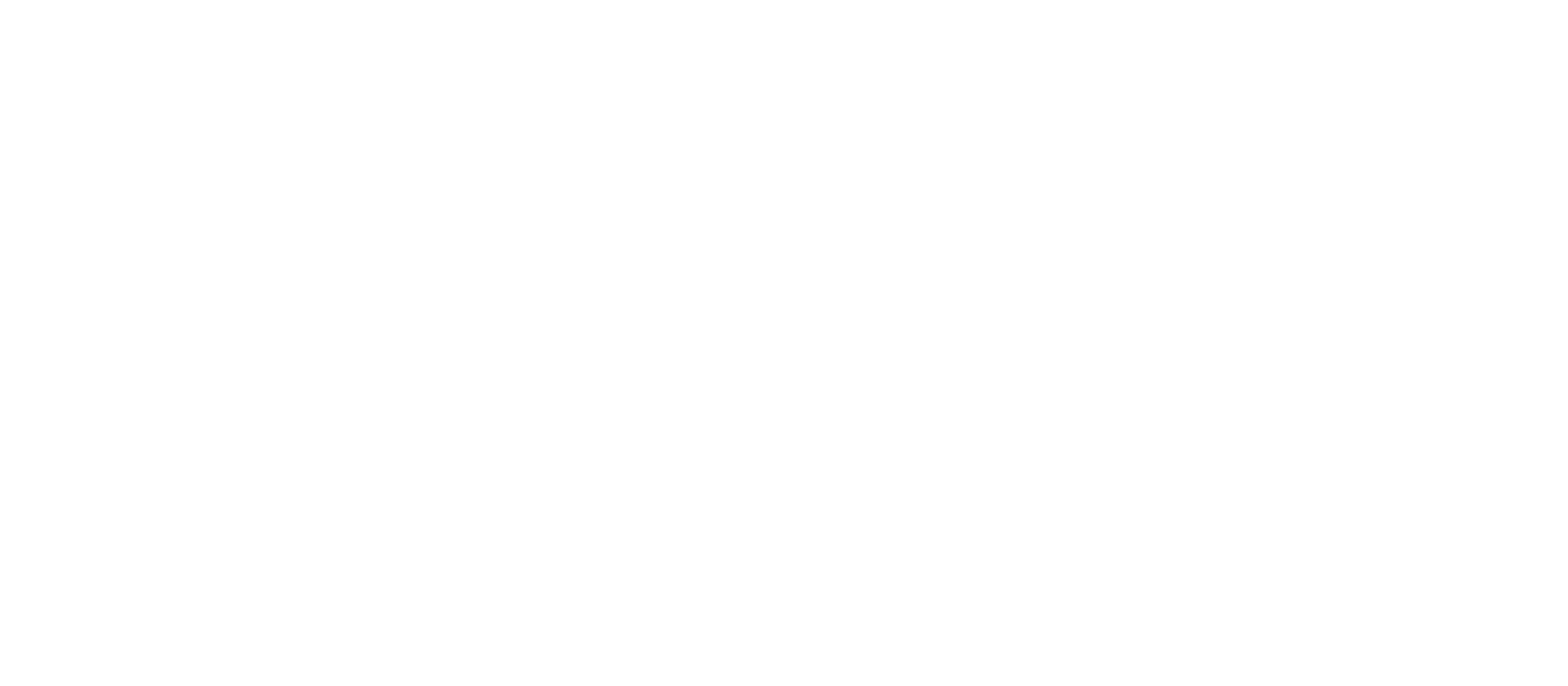 Meet Adele Anthony | Skaneateles Festival